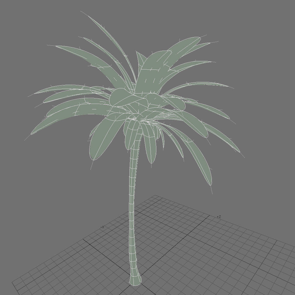 Realistic Palm Tree 3D model | CGTrader