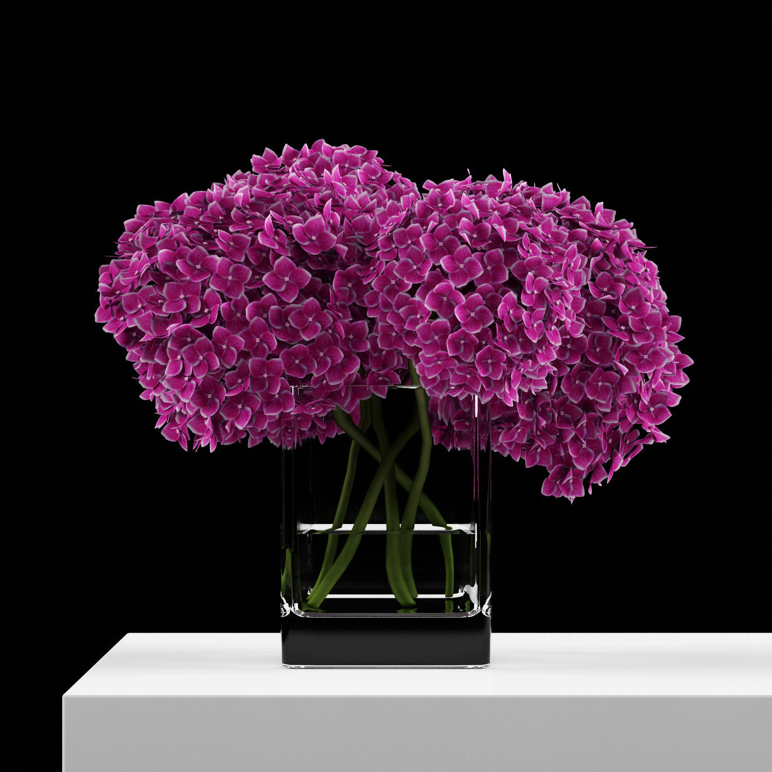 Pink hydrangeas 3D model | CGTrader