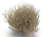 Tumbleweed 3D model | CGTrader