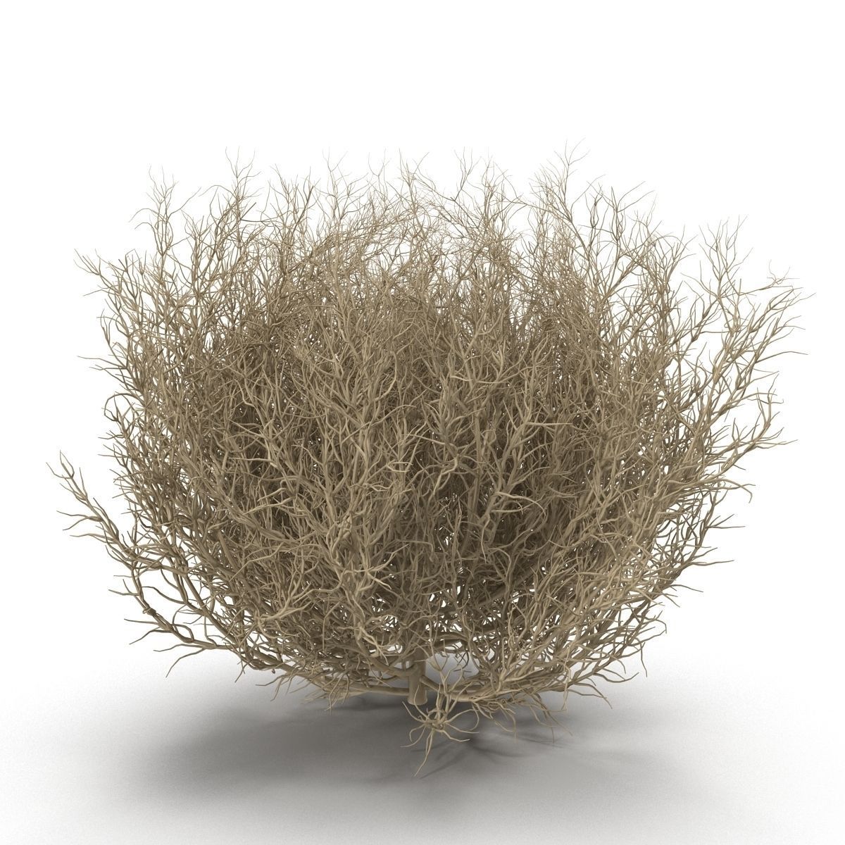 Tumbleweed twigs 3D model | CGTrader