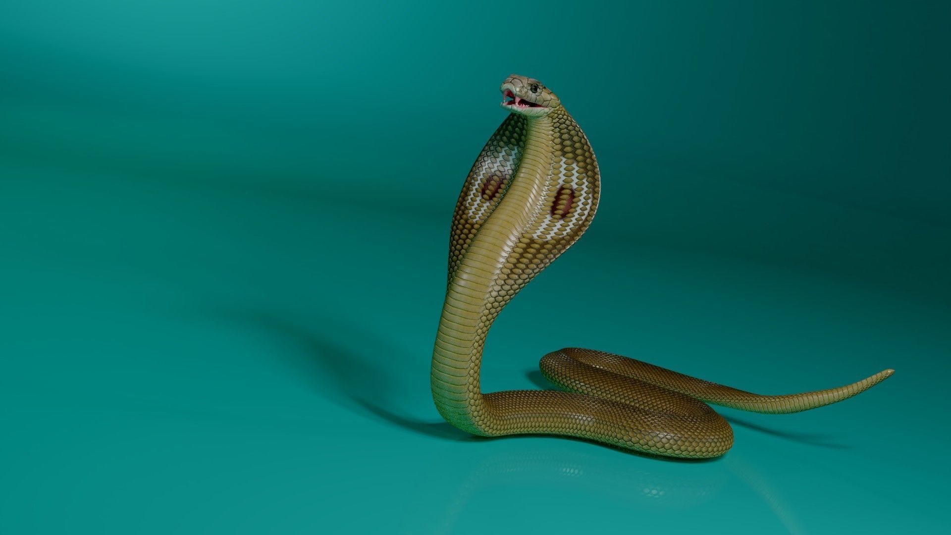 3D model 3d model cobra snake VR / AR / low-poly | CGTrader