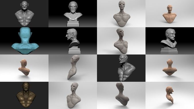 Head Variety Collection | CGTrader