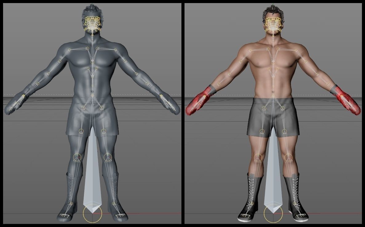 Male Caucasian BOX - MMA Fighter 3D model animated rigged | CGTrader