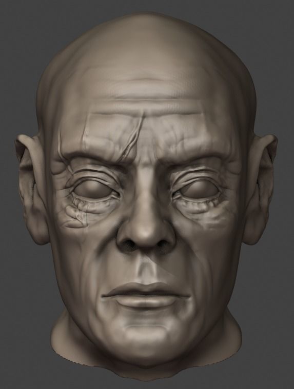 Male Human Head free 3D model | CGTrader