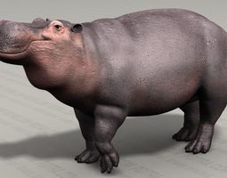 Amphibius 3D Models | CGTrader