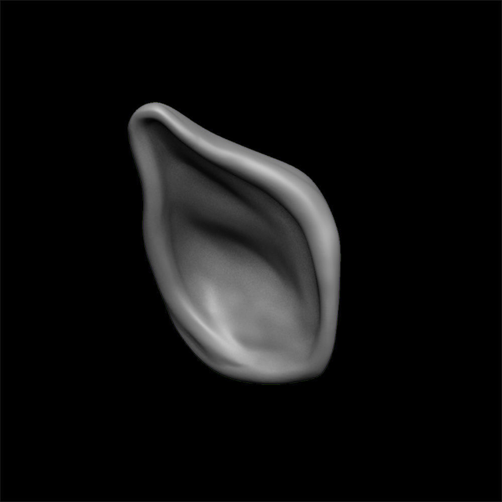 ears 3D model with high poly and low poly 3D model | CGTrader