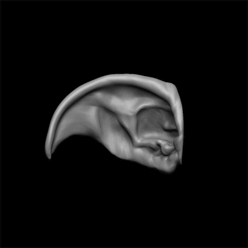 ears 3D model with high poly and low poly 3D model | CGTrader