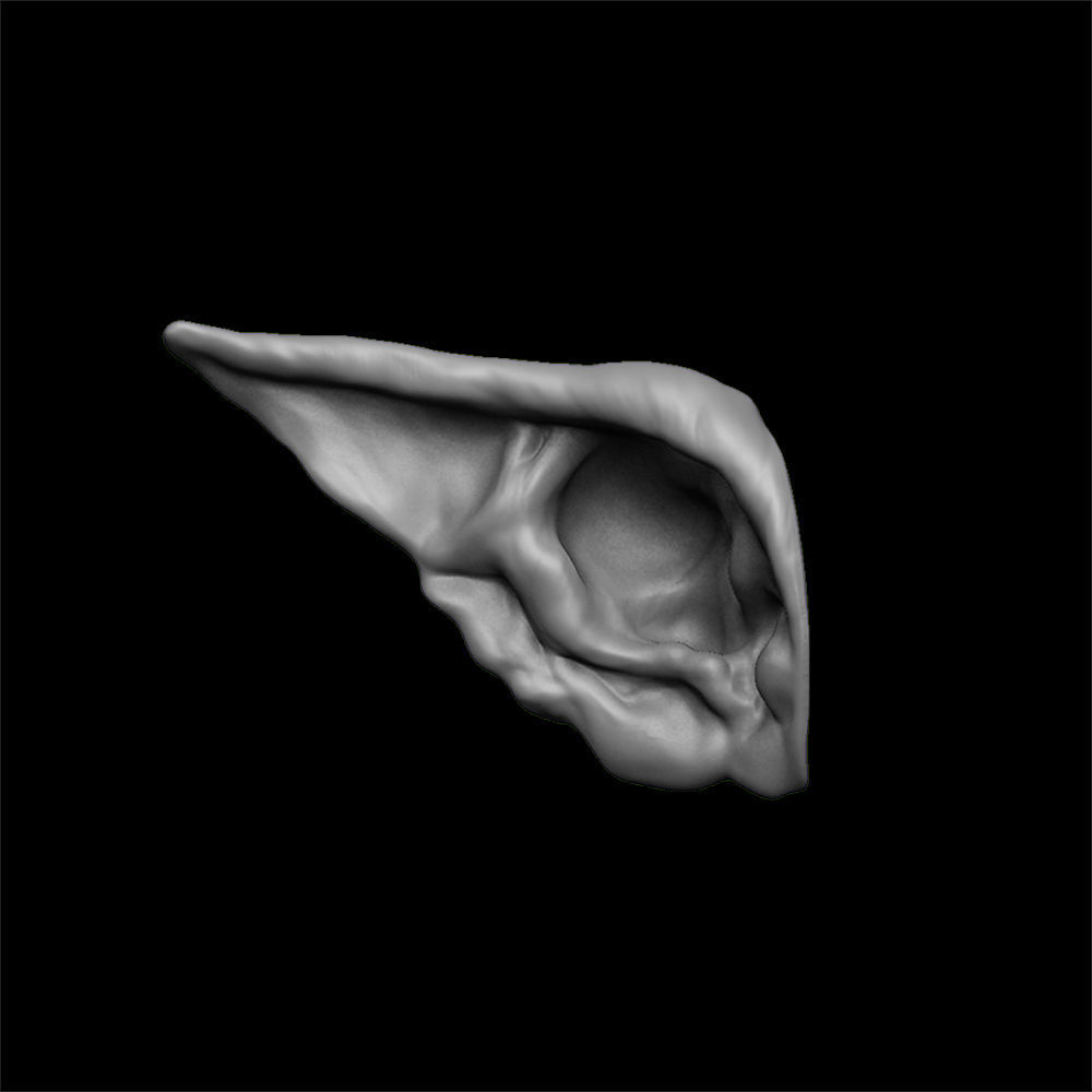 ears 3D model with high poly and low poly 3D model | CGTrader