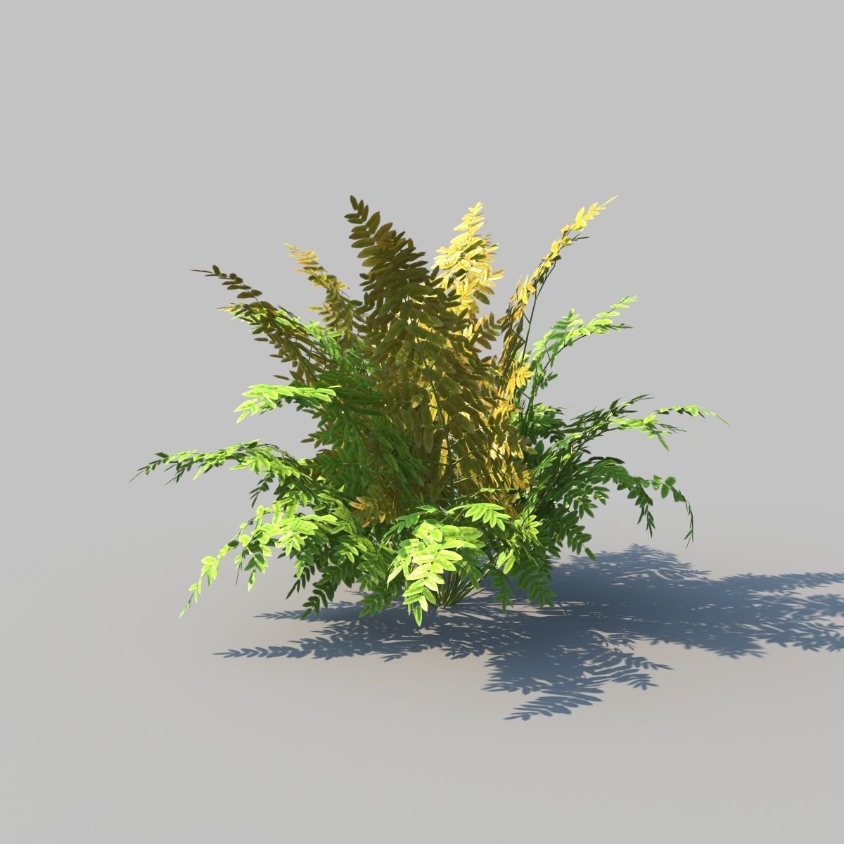 Autumn Fern B With Animation 3D model animated | CGTrader