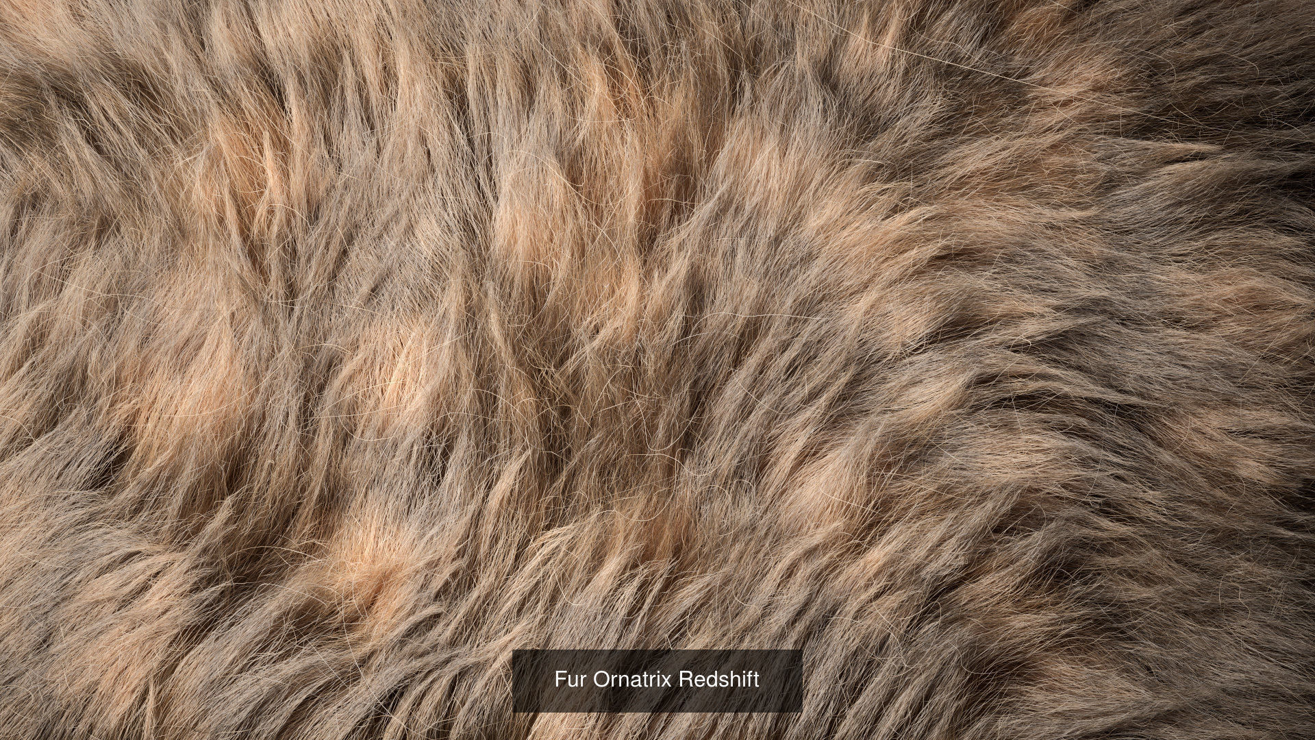 Hair and Fur bundle 3D Model Collection | CGTrader