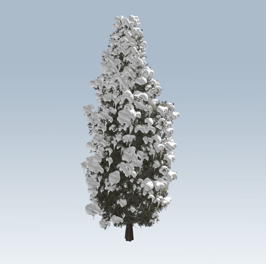 Winter cedar tree 3D model | CGTrader