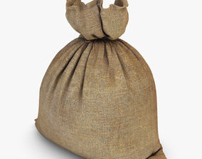 Free Sac 3D Models | CGTrader