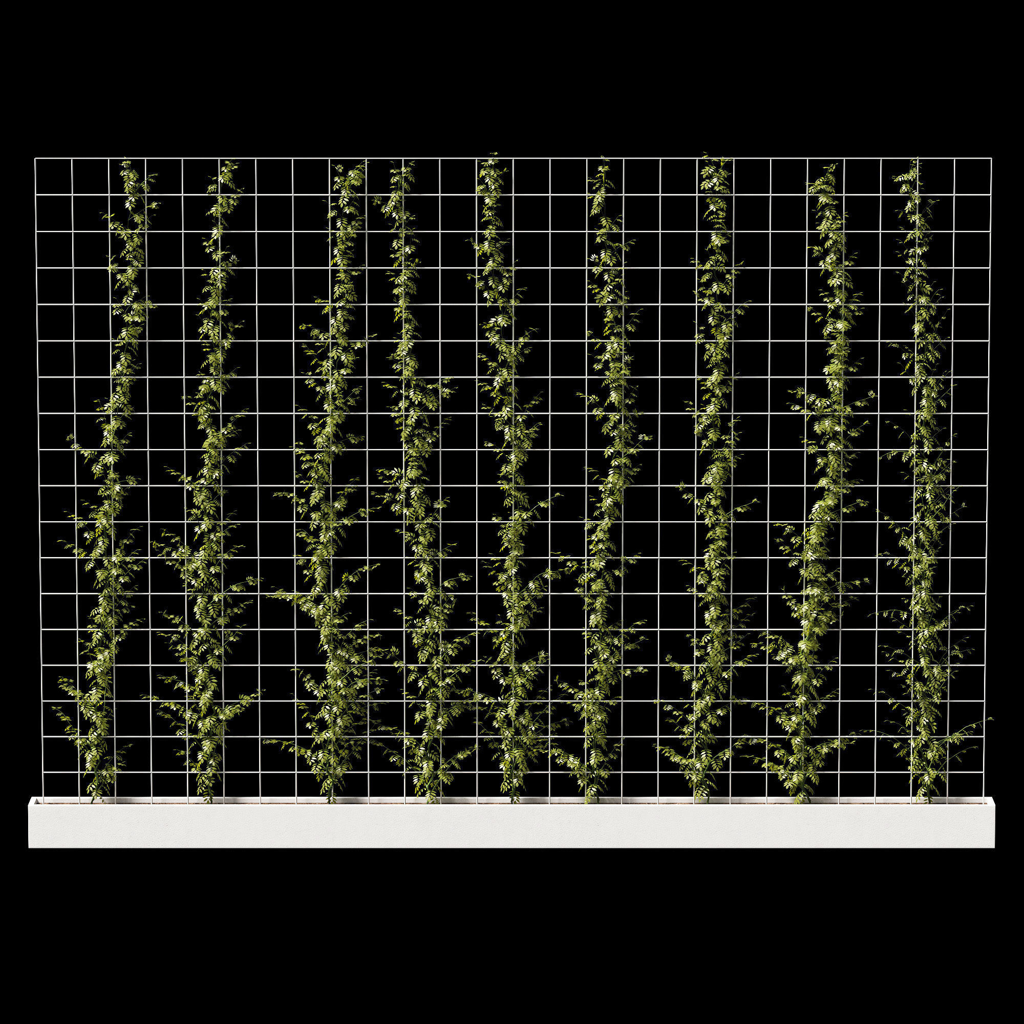 3D Vertical plant partition | CGTrader
