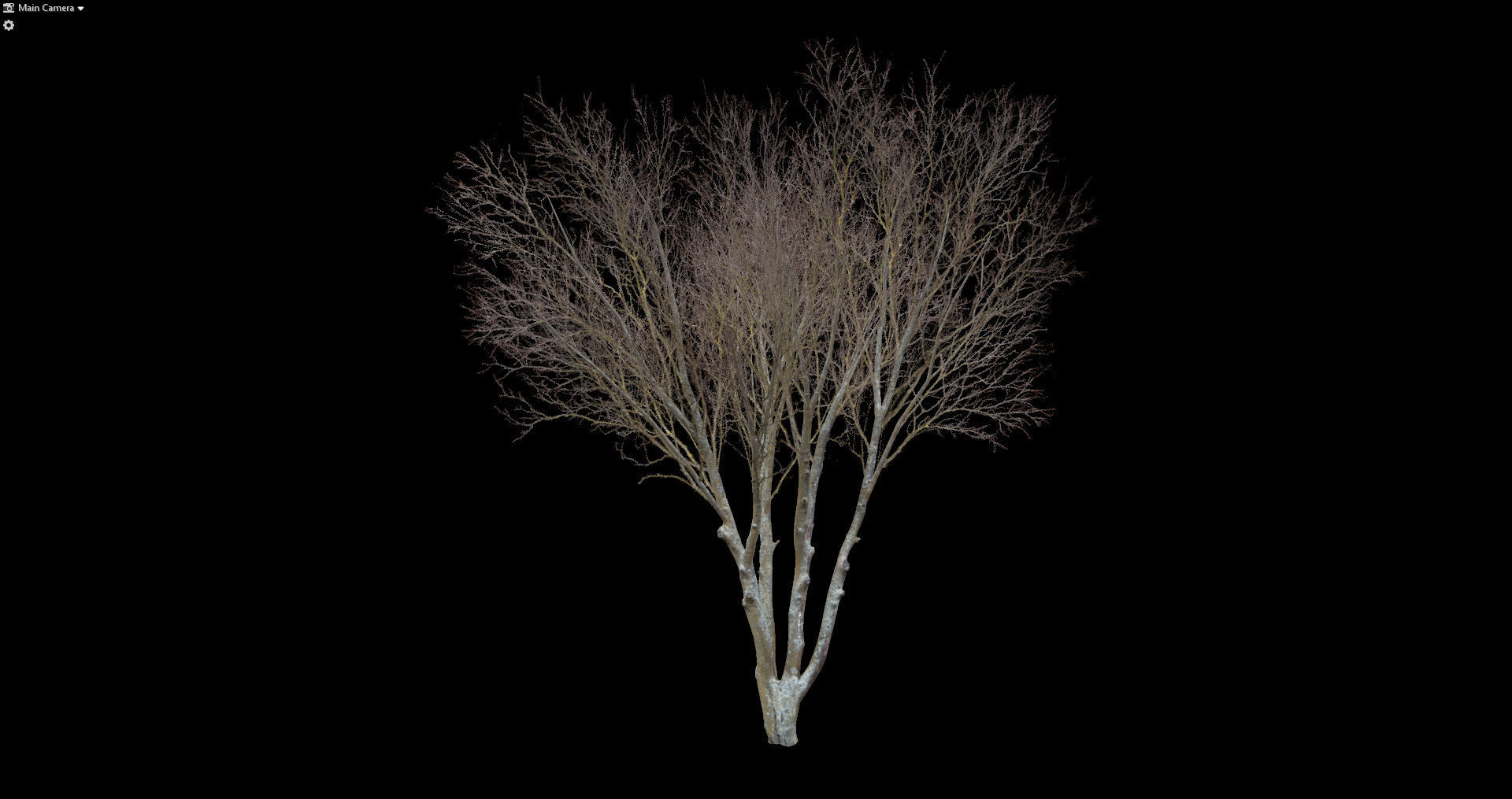 3D model Autumn Dry Tree Scan Full-Size VR / AR / low-poly | CGTrader