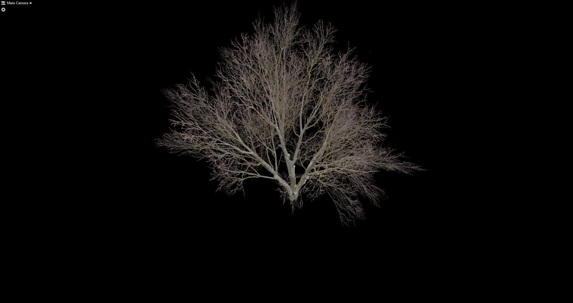 3D model Autumn Dry Tree Scan Full-Size VR / AR / low-poly | CGTrader