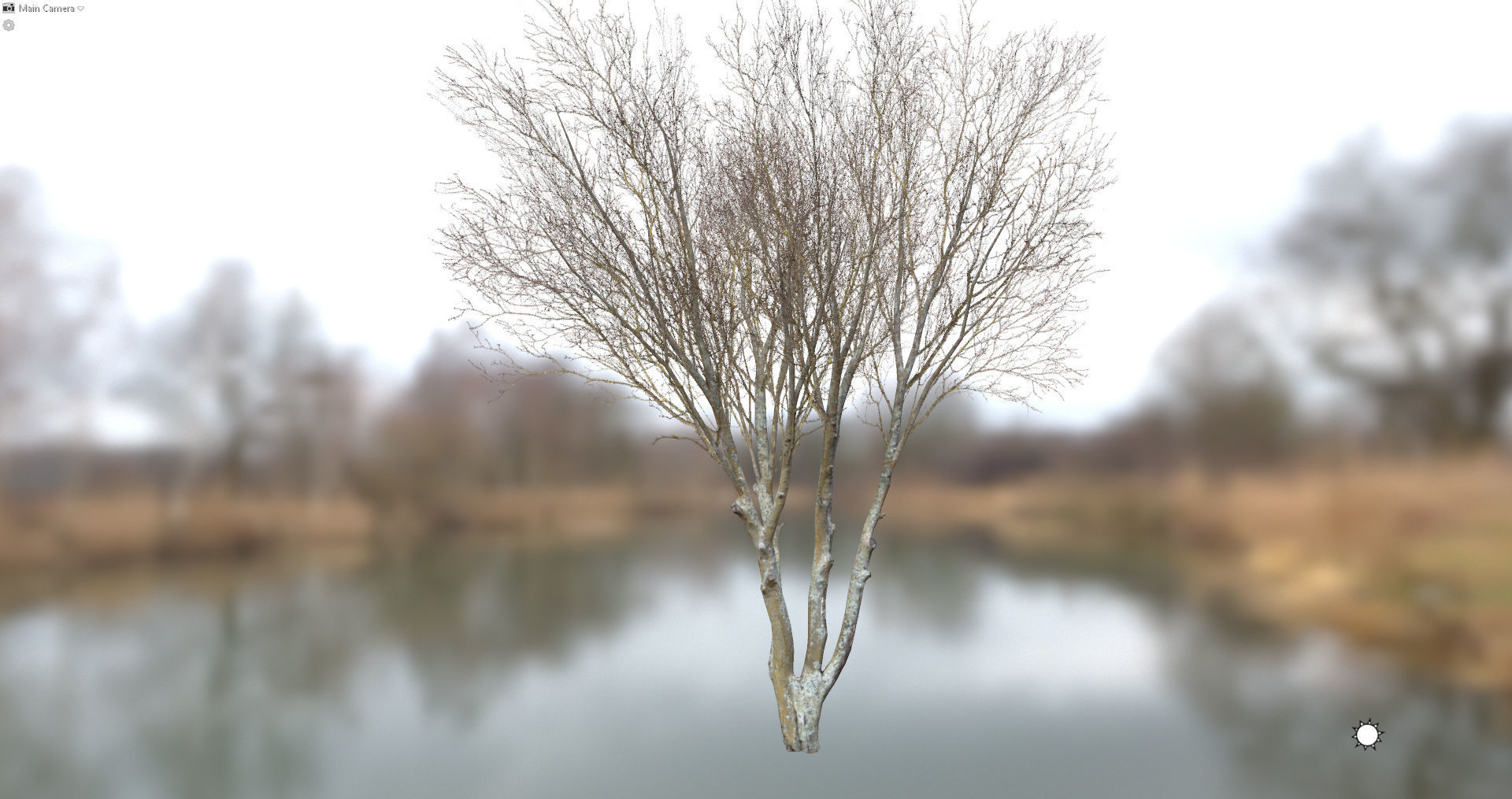 3D model Autumn Dry Tree Scan Full-Size VR / AR / low-poly | CGTrader