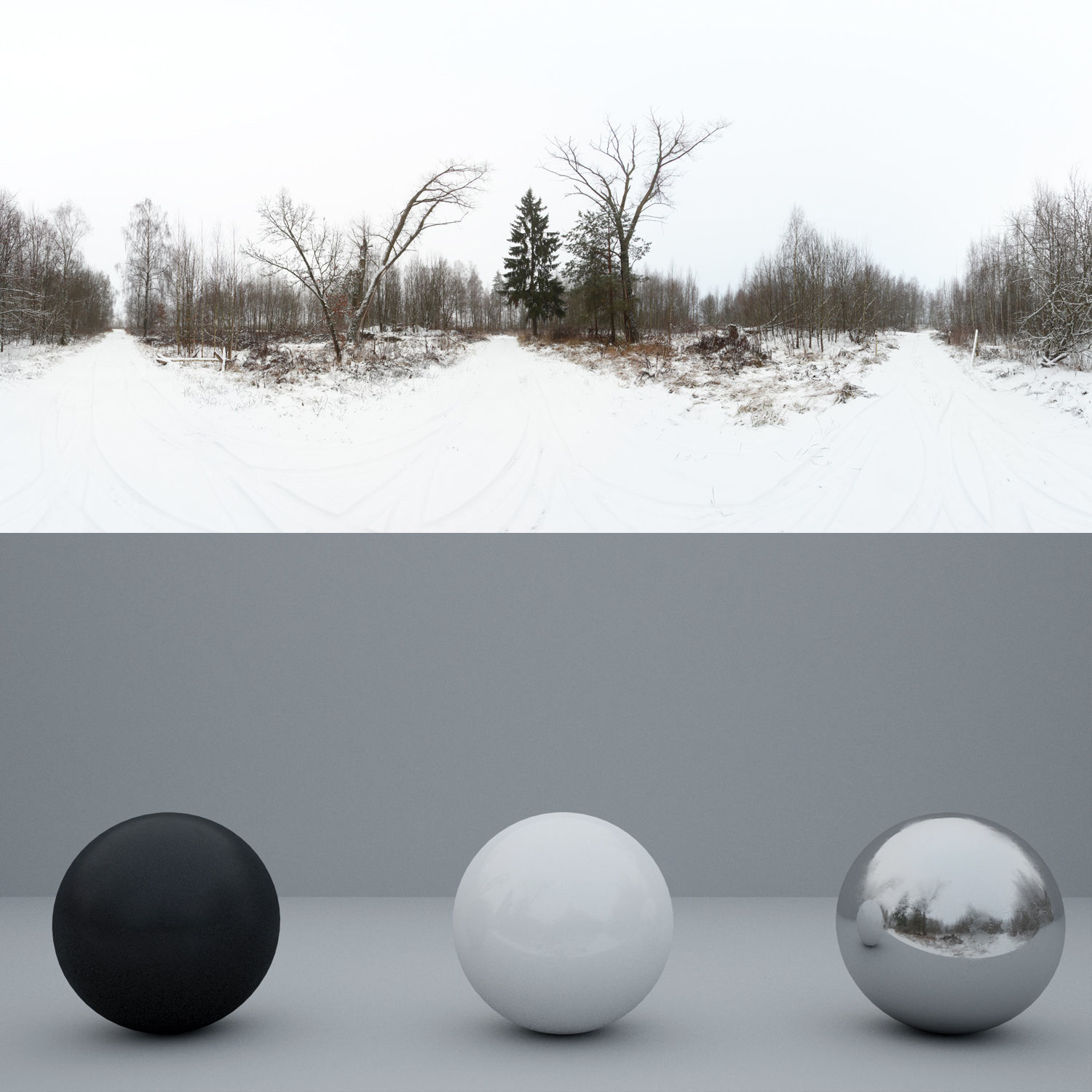 HDRI Winter Texture