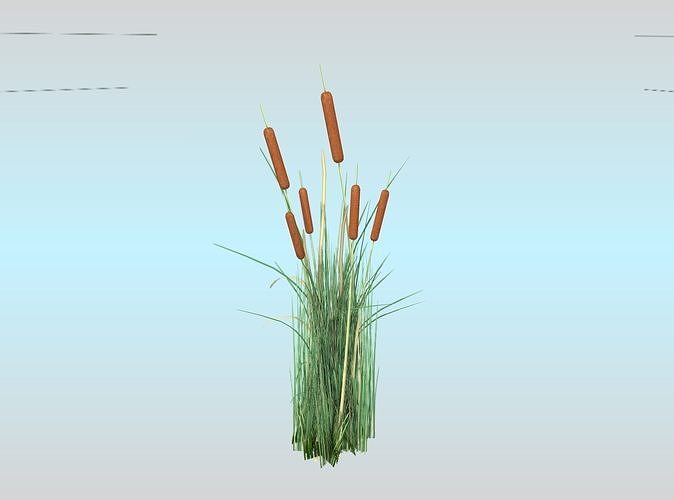 3D model Reeds - Object 25 VR / AR / low-poly | CGTrader