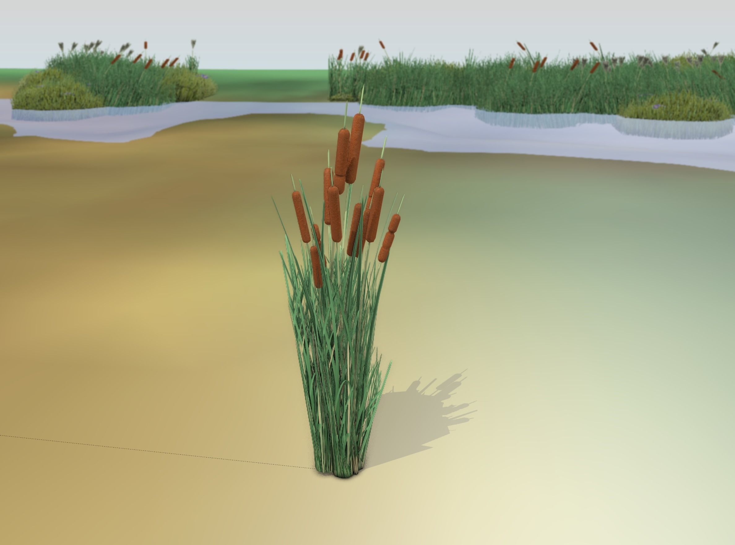 Reeds - Object 26 3D asset realtime | CGTrader