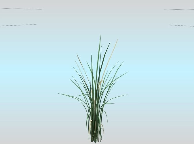 3D model Reeds - Object 40 VR / AR / low-poly | CGTrader 3D model Reeds - Object 40 VR / AR / low-poly | CGTrader