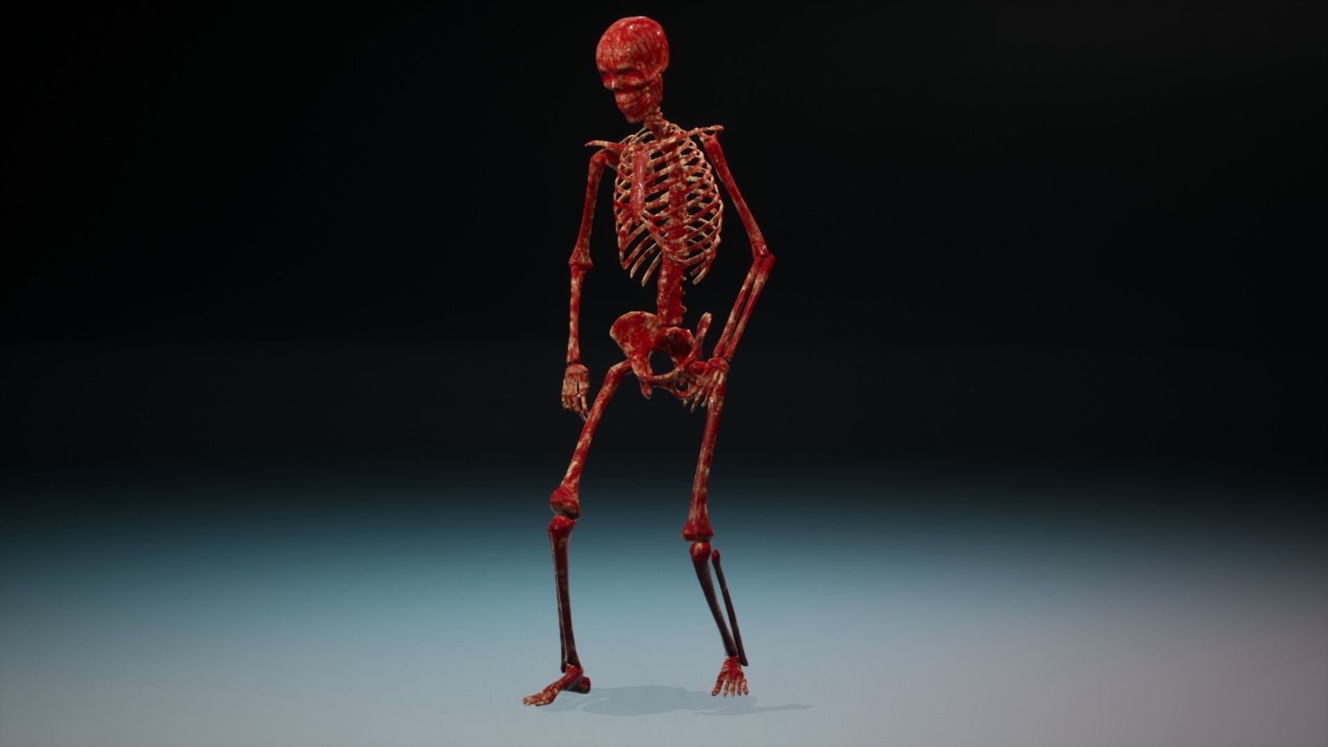 3D model Skeleton low poly and high poly 3D model VR / AR / low-poly ...