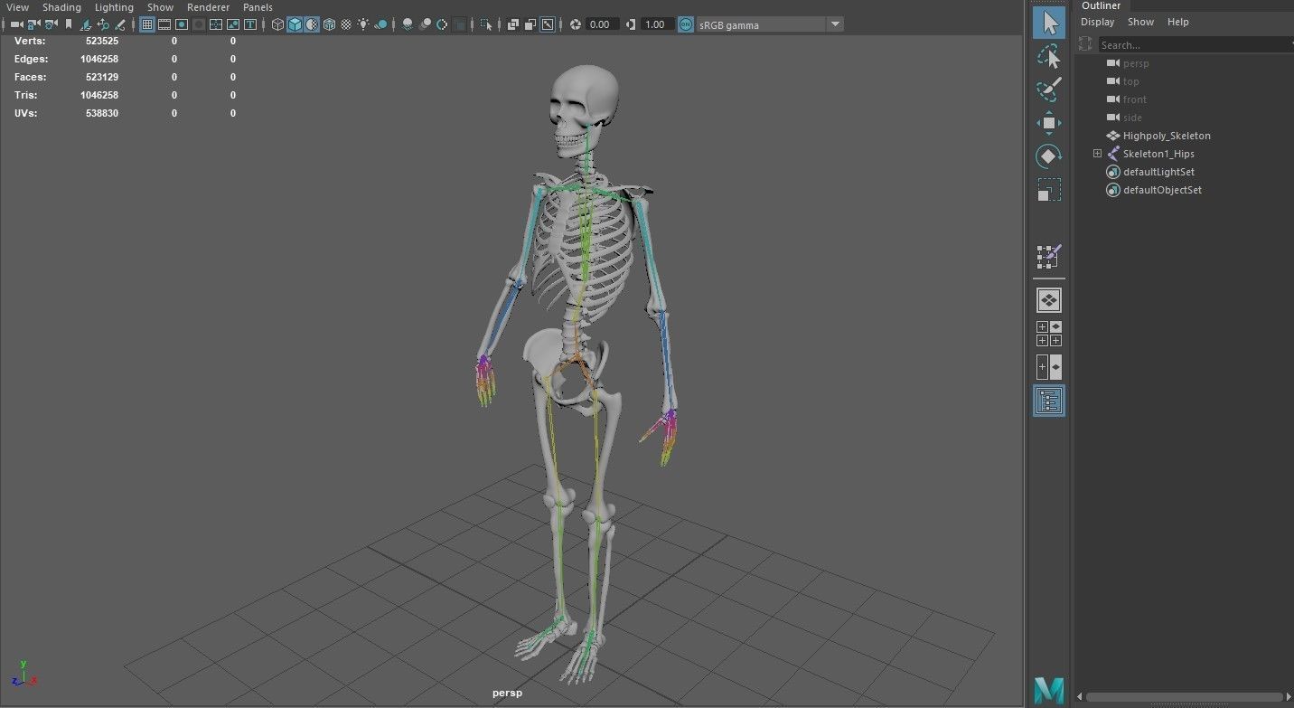 3D model Skeleton low poly and high poly 3D model VR / AR / low-poly ...