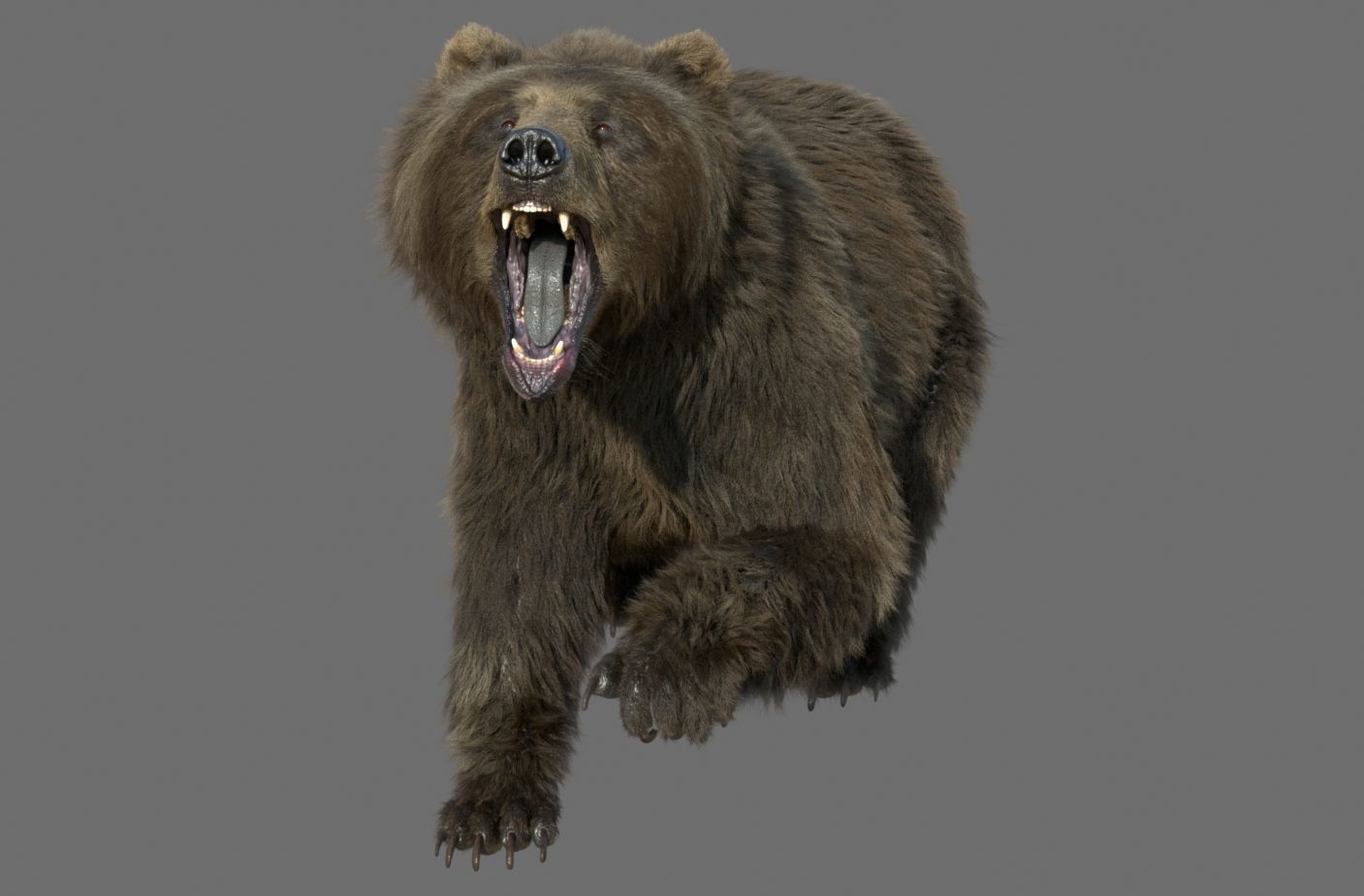 grizzly bear MODEL RIG ANIM 3D model animated rigged | CGTrader