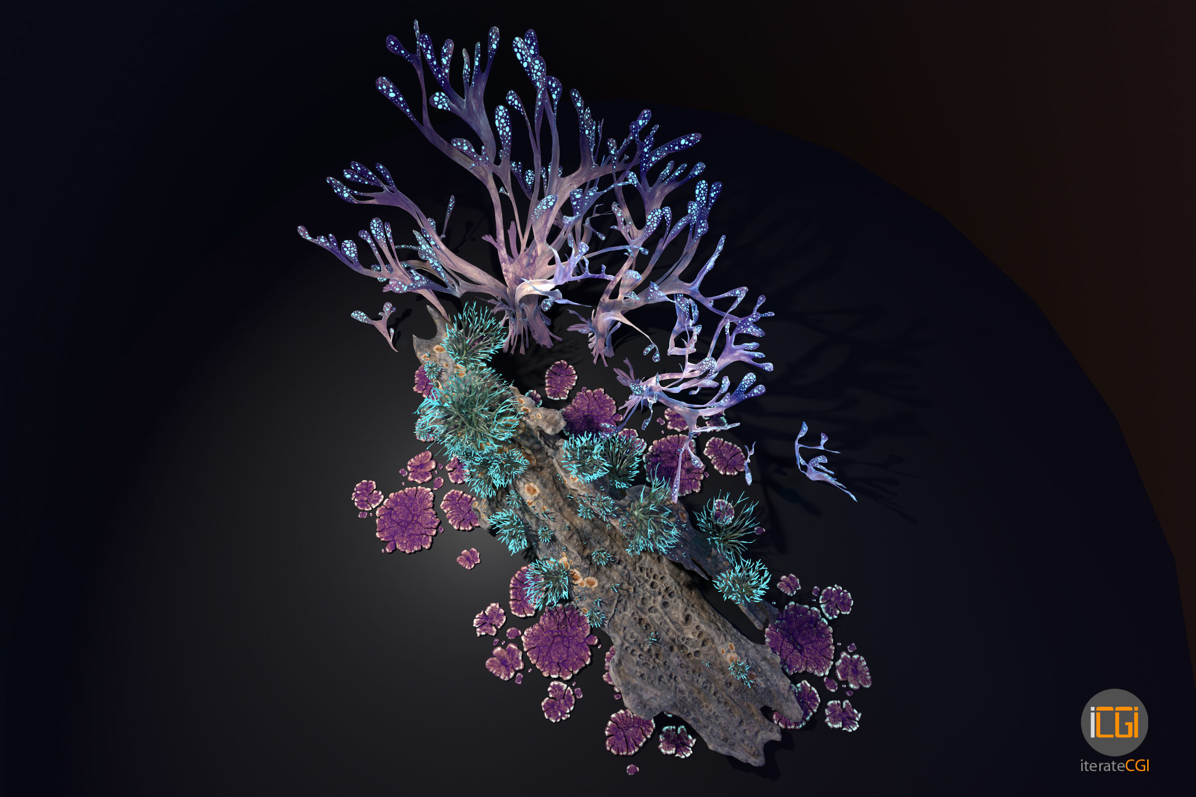 3D model Alien Plant Fungus collection 1 VR / AR / low-poly | CGTrader