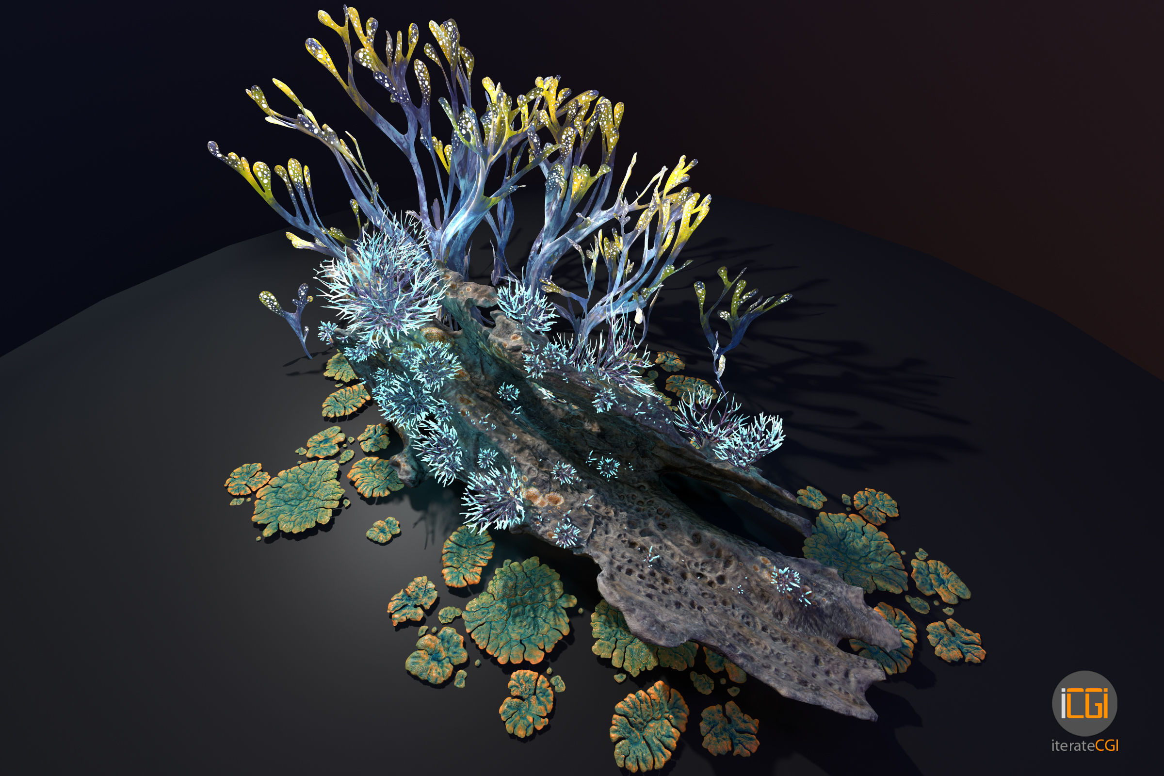 3D model Alien Plant Fungus collection 1 VR / AR / low-poly | CGTrader