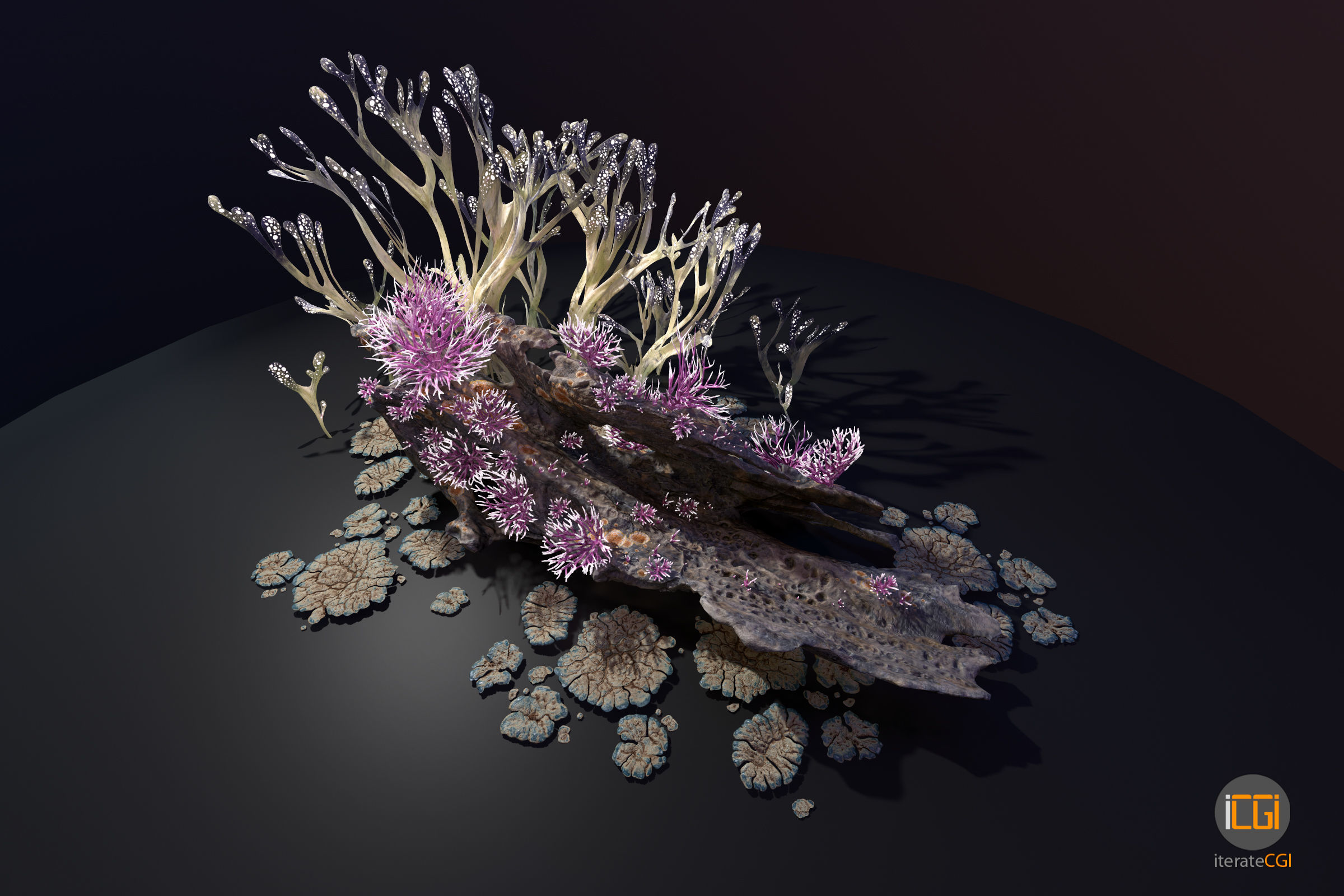 3D model Alien Plant Fungus collection 1 VR / AR / low-poly | CGTrader