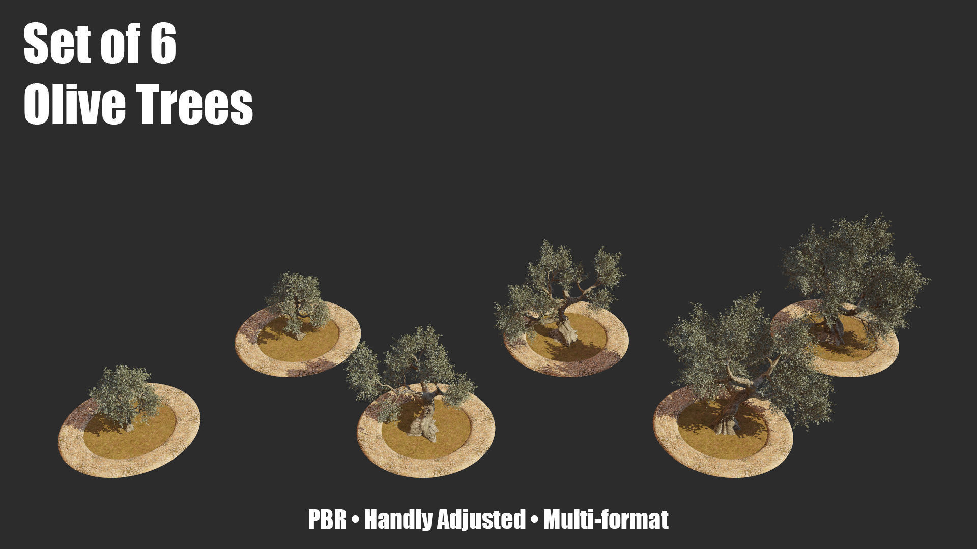 Set of 6 Olive Trees 3D model | CGTrader