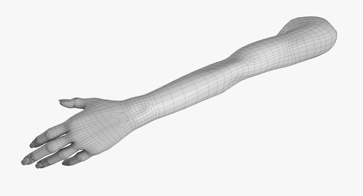 3D model Arm left without texture 3d model female VR / AR / low-poly ...
