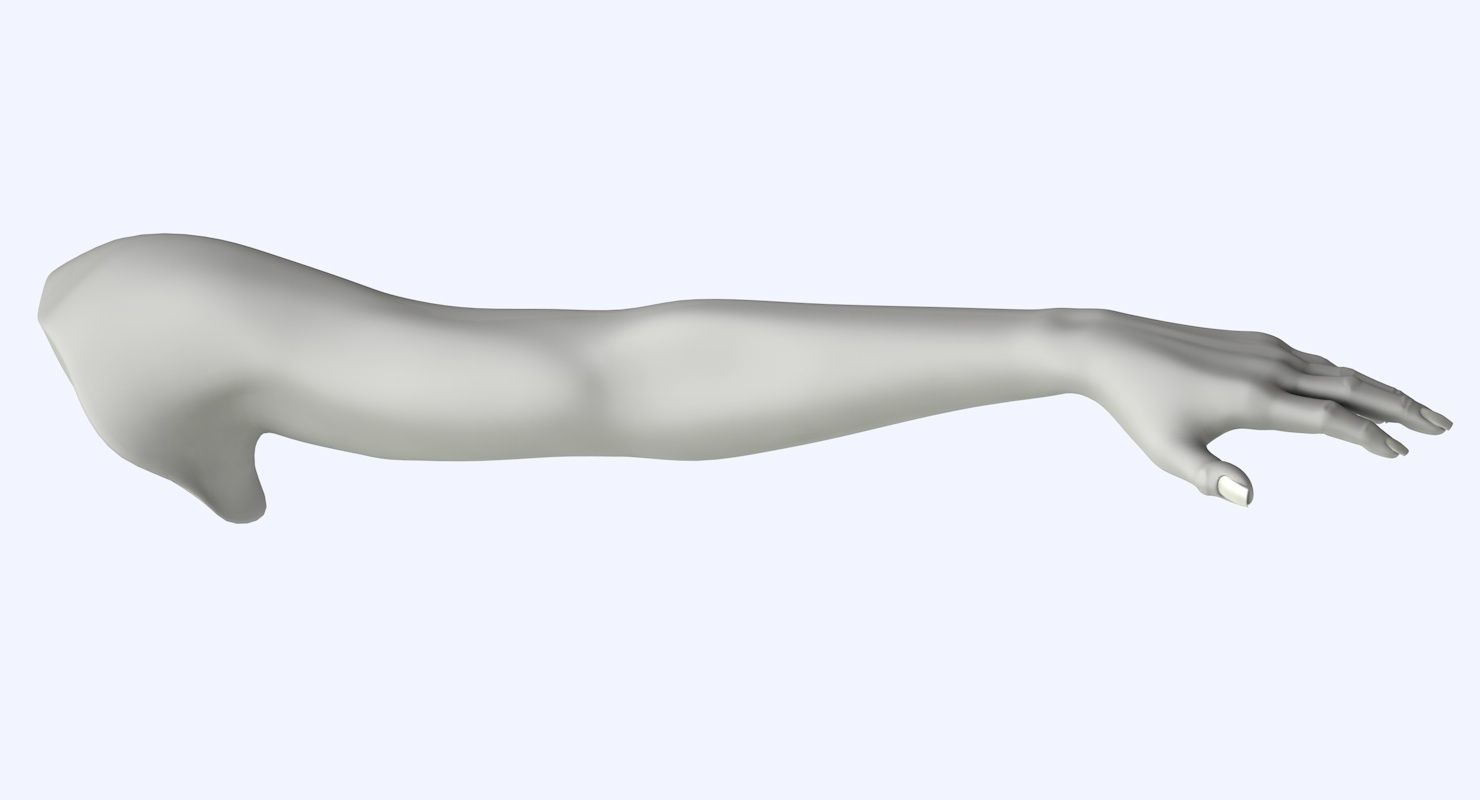 3D model Arm left without texture 3d model female VR / AR / low-poly ...