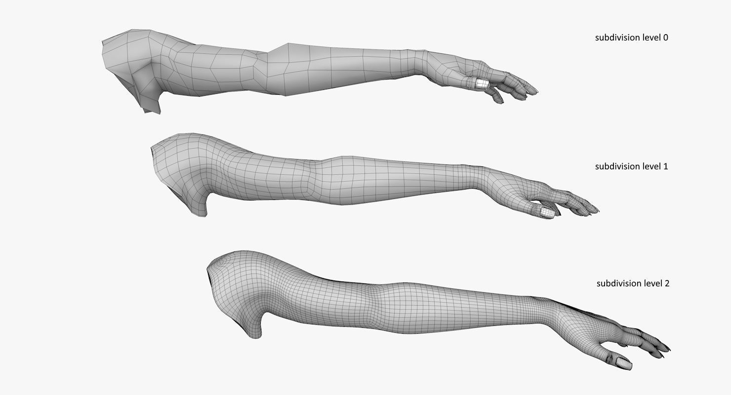 3D model Arm left without texture 3d model female VR / AR / low-poly ...