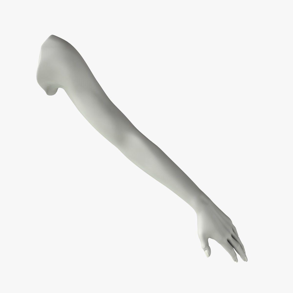 3D model Arm left without texture 3d model female VR / AR / low-poly ...