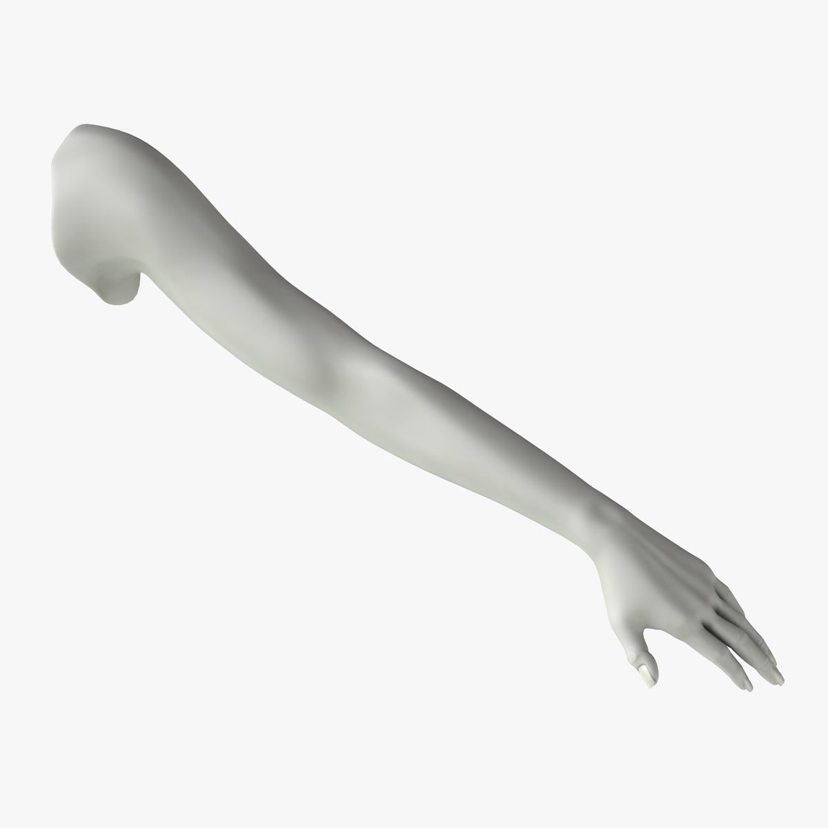3D model Arm left without texture 3d model female VR / AR / low-poly ...