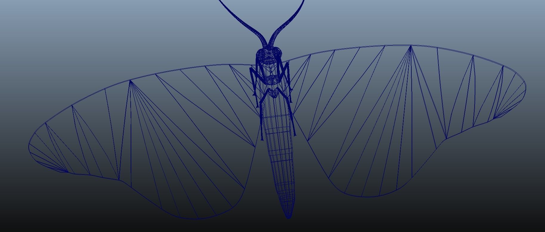 Moth Insect 3D model animated rigged | CGTrader