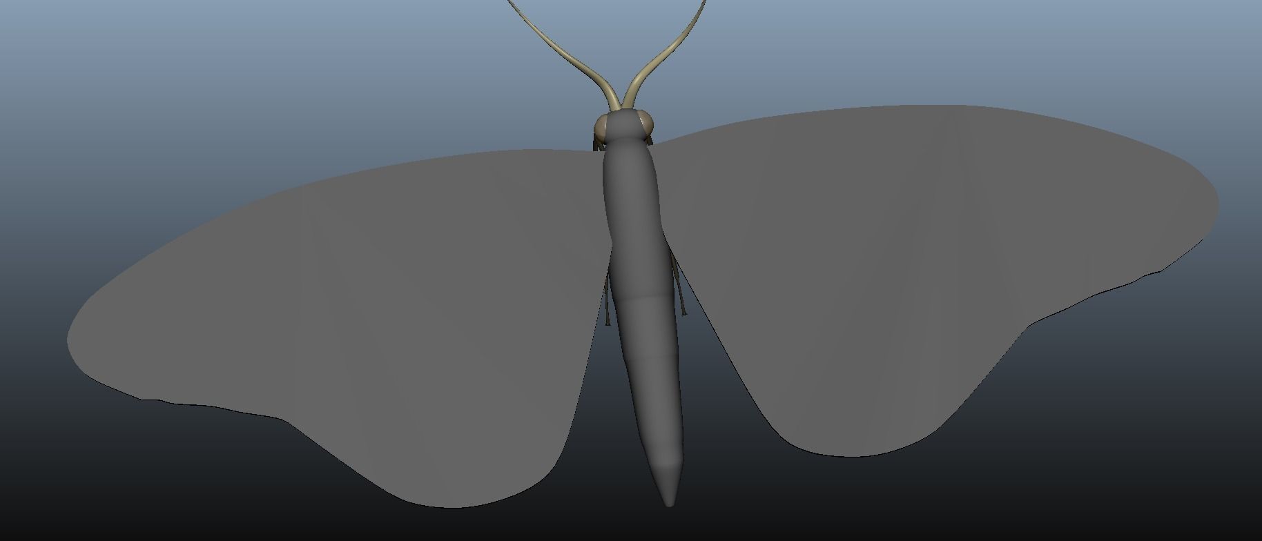 Moth Insect 3D model animated rigged | CGTrader