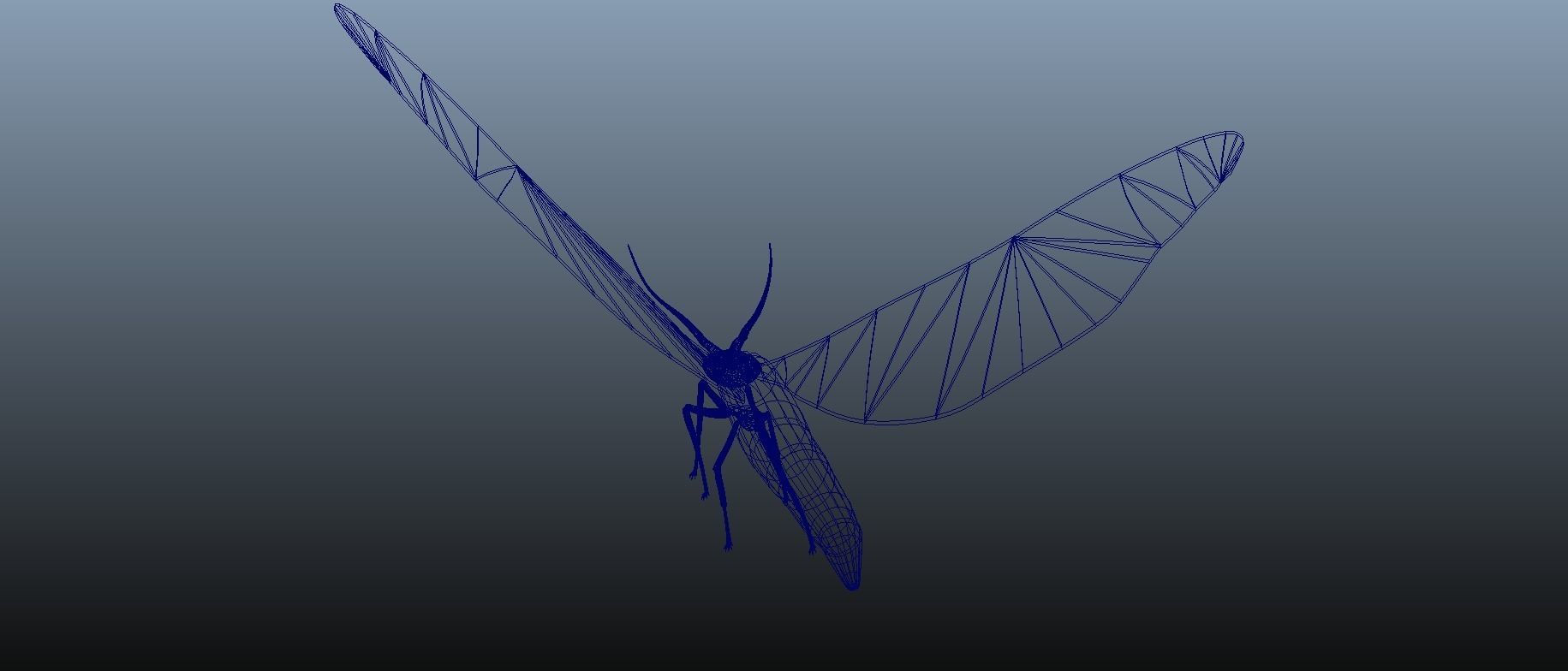 Moth Insect 3D model animated rigged | CGTrader