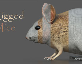 Mouse 3D Models | CGTrader