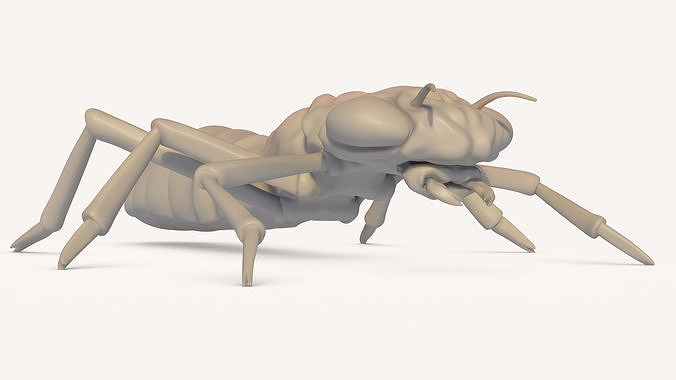 Insect 3D model 3D printable | CGTrader