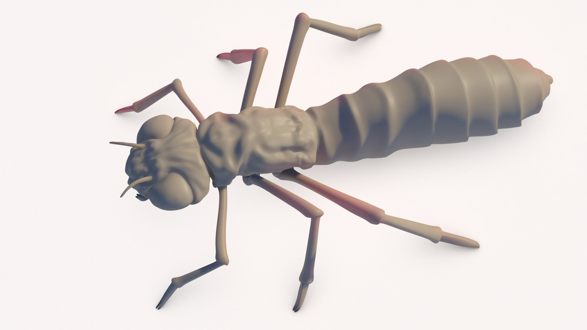Insect 3D model 3D printable | CGTrader