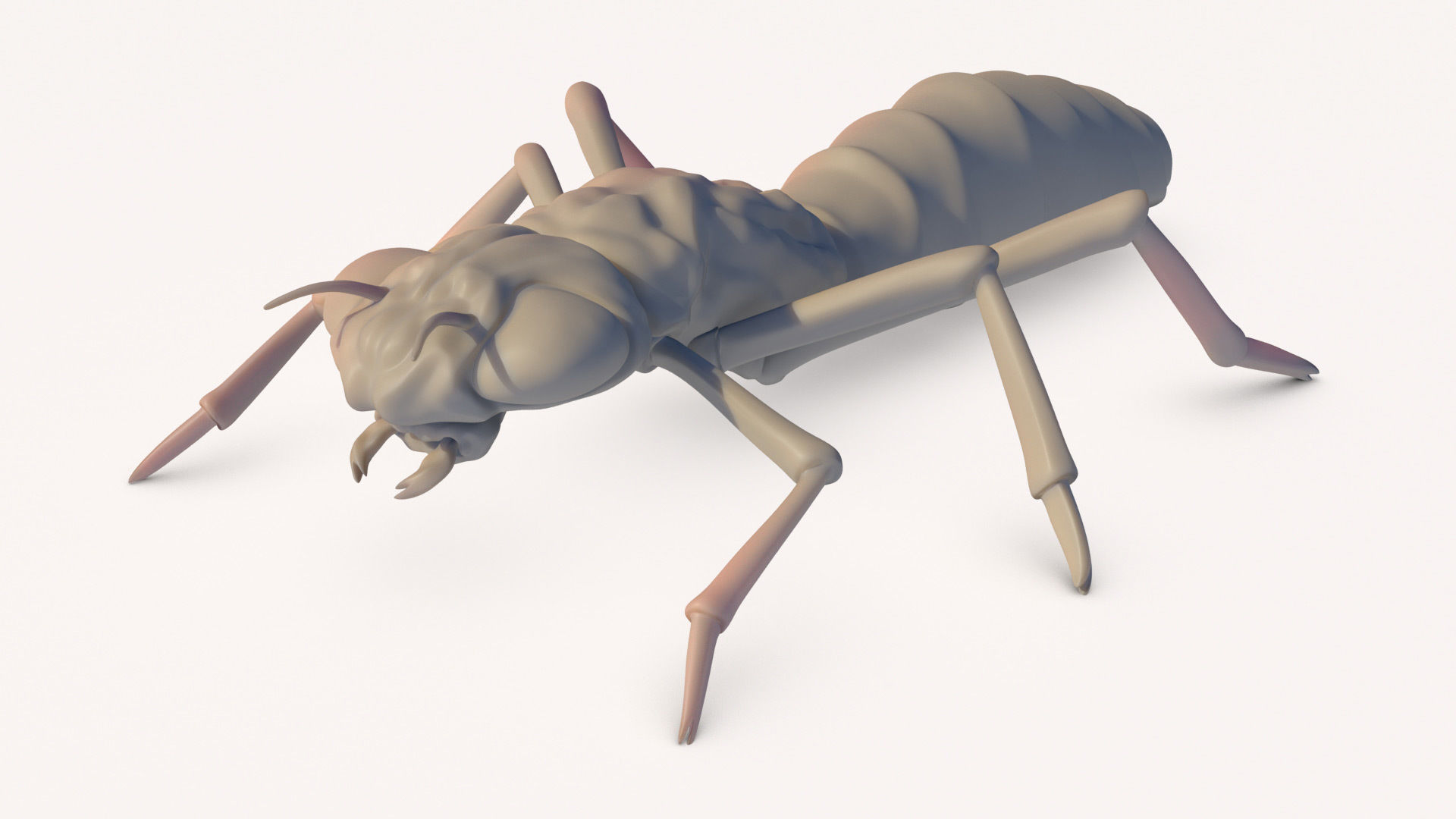 Insect 3D model 3D printable | CGTrader
