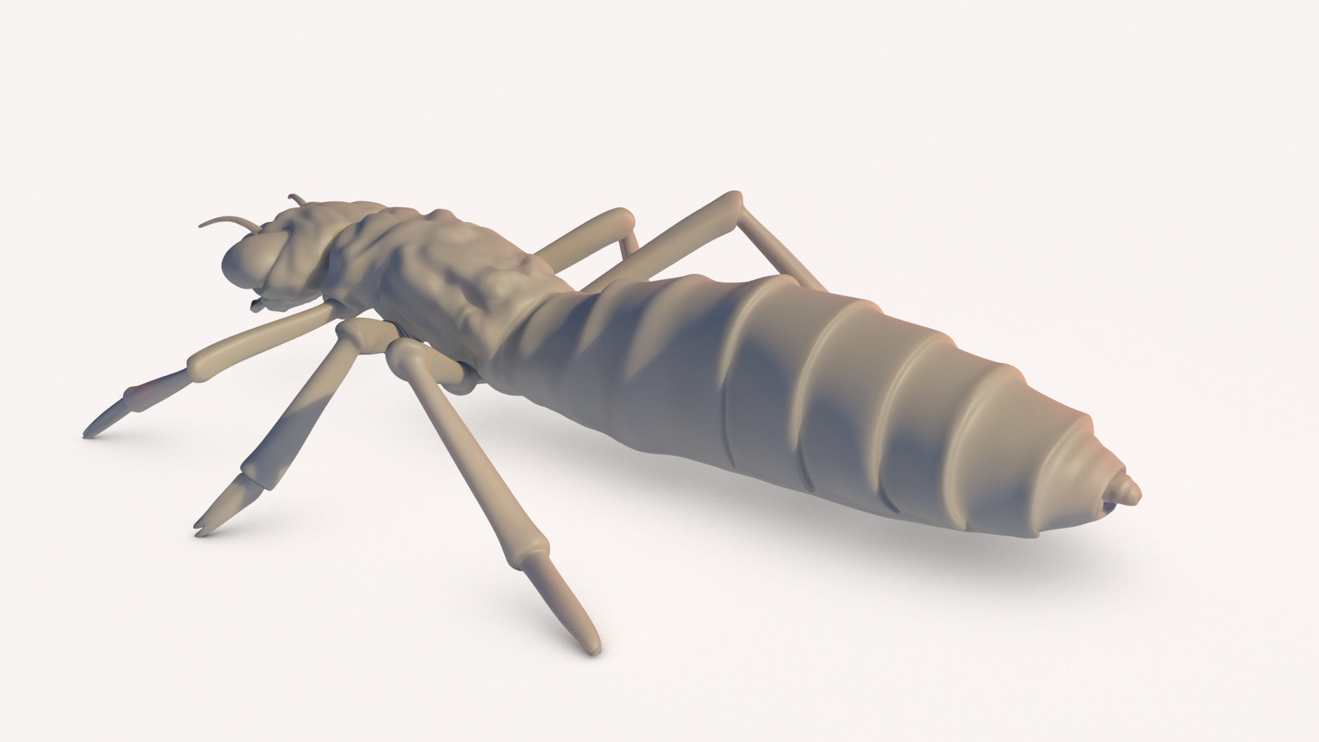 Insect 3D model 3D printable | CGTrader