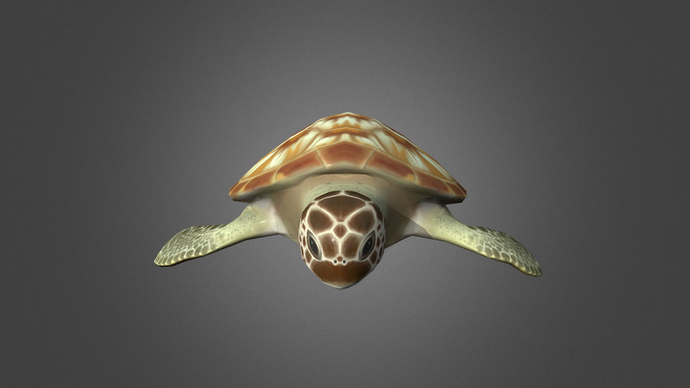 3D model Low Poly Green Sea Turtle - Idle Animated VR / AR / low-poly ...