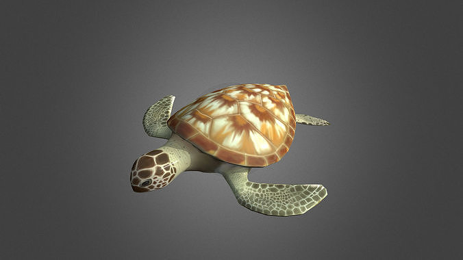 3D model Low Poly Green Sea Turtle - Idle Animated VR / AR / low-poly ...