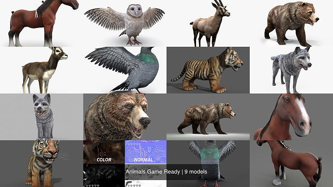 3D Model Collection Animals Game Ready barn owl with wings spread VR ...