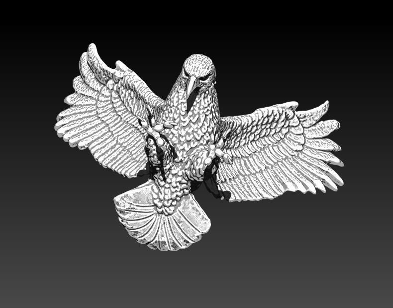 Realistic Flying Bird Eagle Hawk Falcon 3D model 3D printable | CGTrader