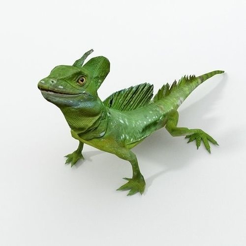 3D model Common Basilisk VR / AR / low-poly | CGTrader