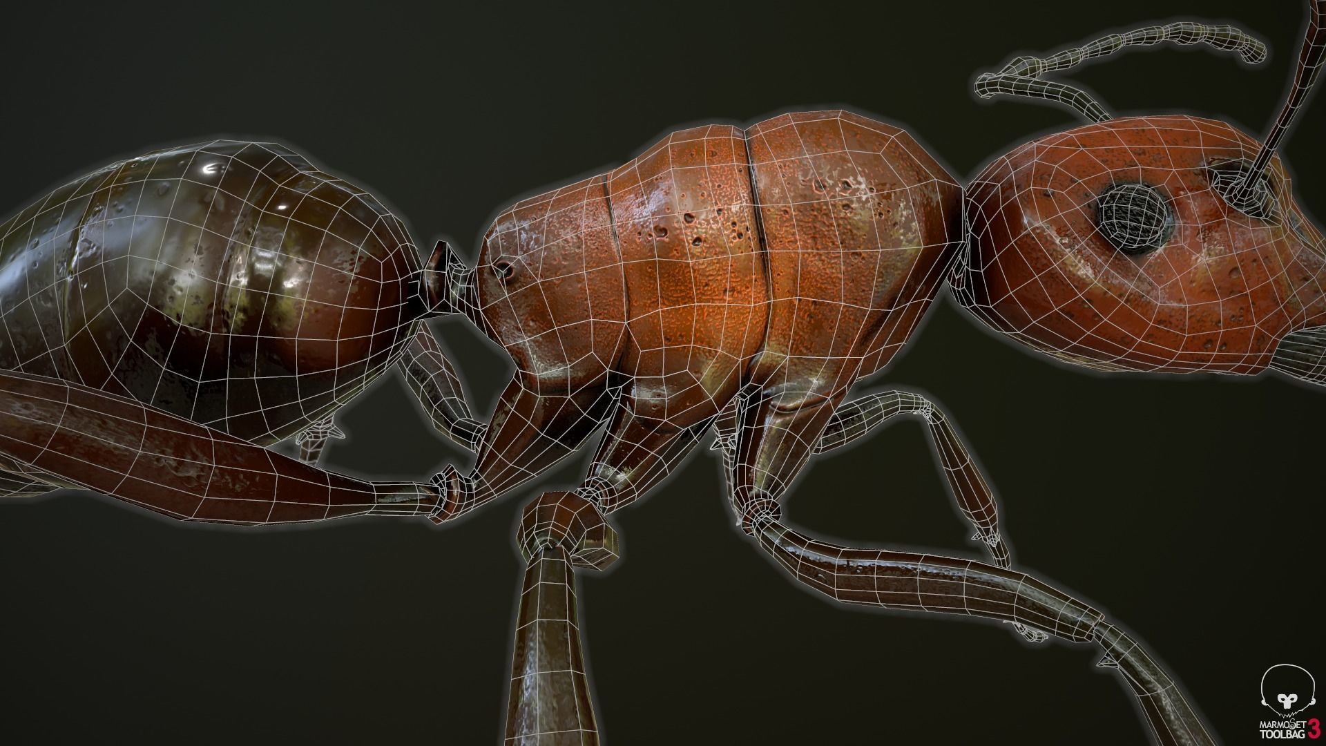 3D model Red Ant Low Poly 3d model VR / AR / low-poly rigged | CGTrader